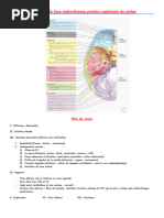 Anatomie et Fractures du Rocher | PDF | Tête et cou chez l'humain ...