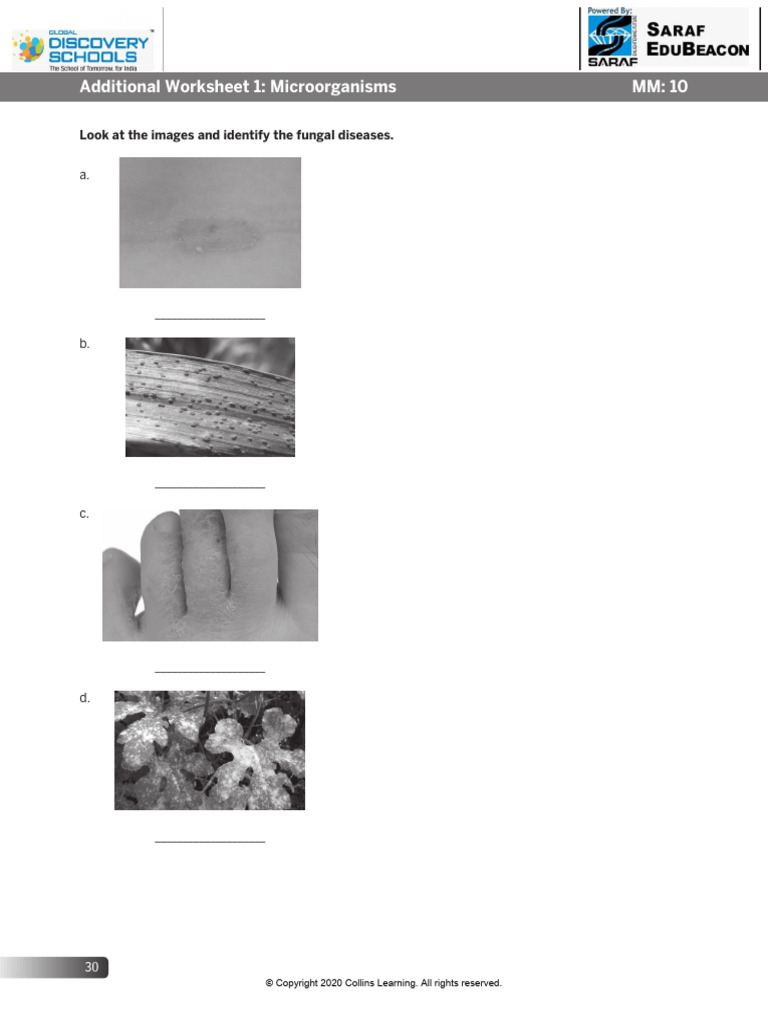 Science Worksheet Class 8 | PDF | Microorganism | Water