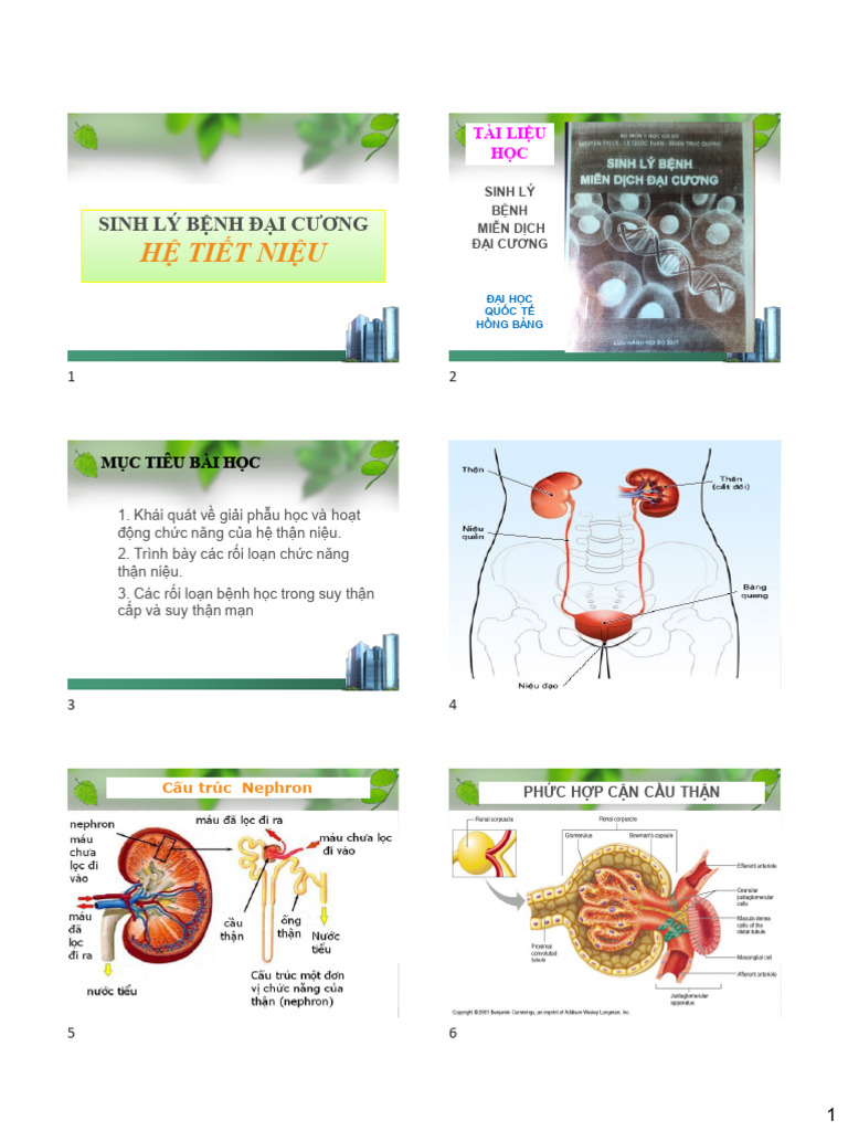 7. THẬN NIỆU ĐÃ XONG | PDF