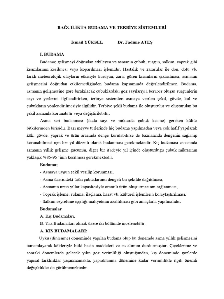 Baglarda Budama Ve Terbiye Sistemleri | PDF