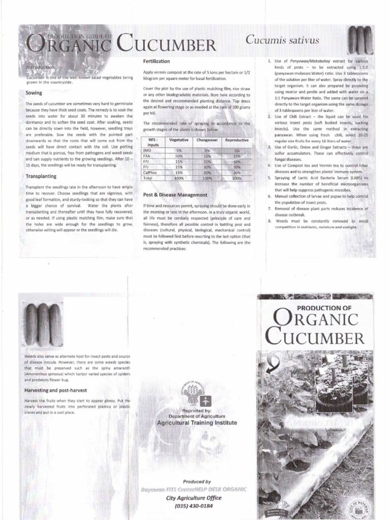 Production-of-Organic-Cucumber | PDF