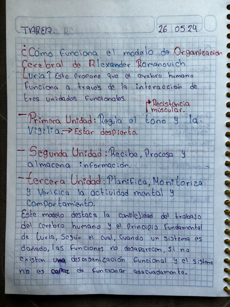 Tarea 1 Sistema de Luria | PDF