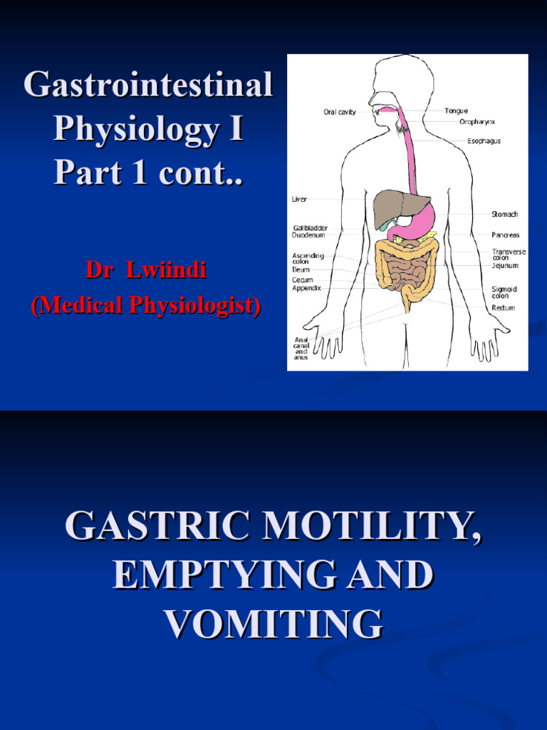 GIT Physiology I-Part 1 Cont.. | PDF | Stomach | Vomiting