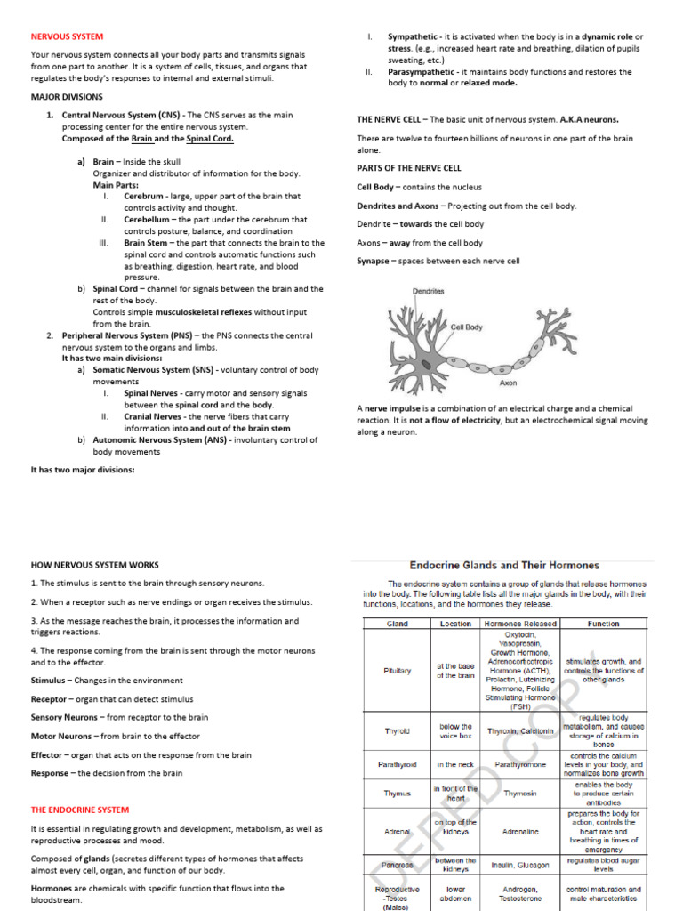 3rd Periodic Exam Reviewer | PDF | Menstrual Cycle | Luteinizing Hormone