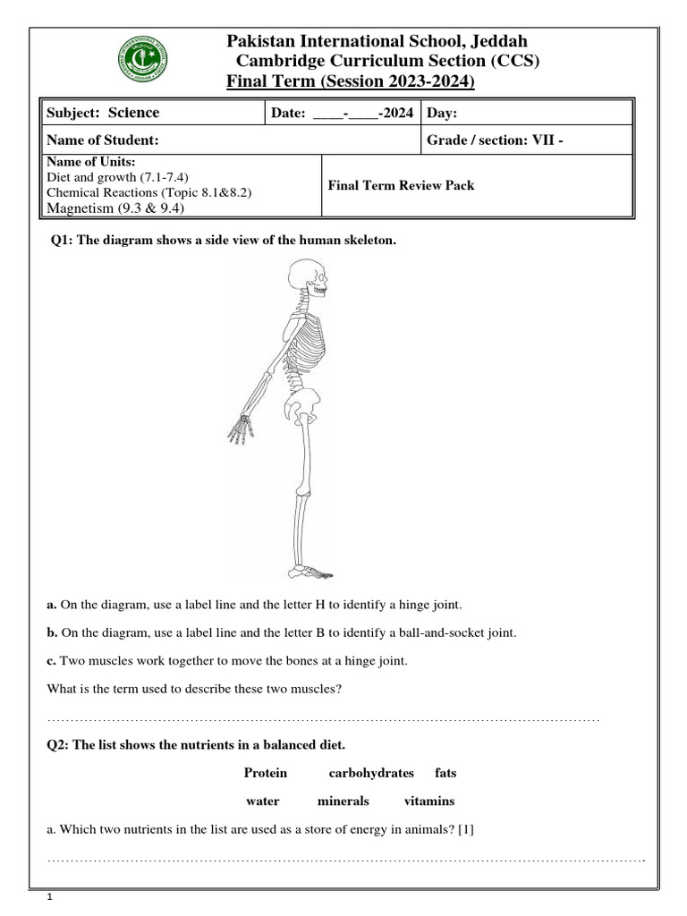 G7 Science Final term Review sheet (Session 2023-2024) | PDF | Chemical ...