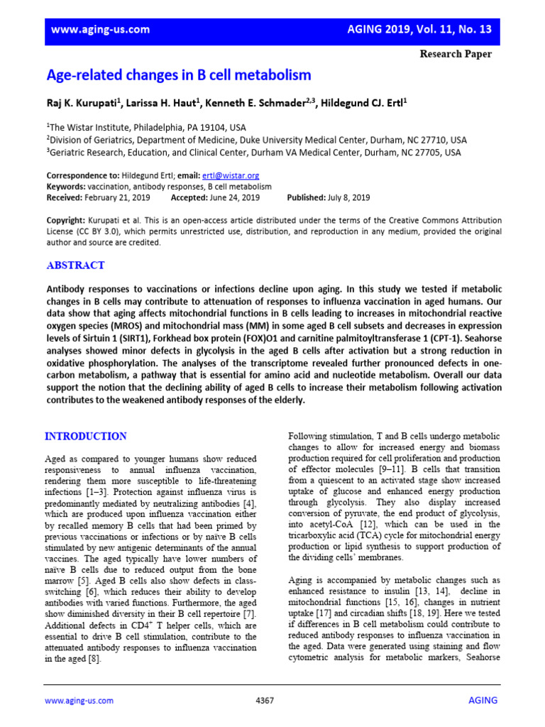 research paper - aged b cells | PDF | B Cell | Antibody