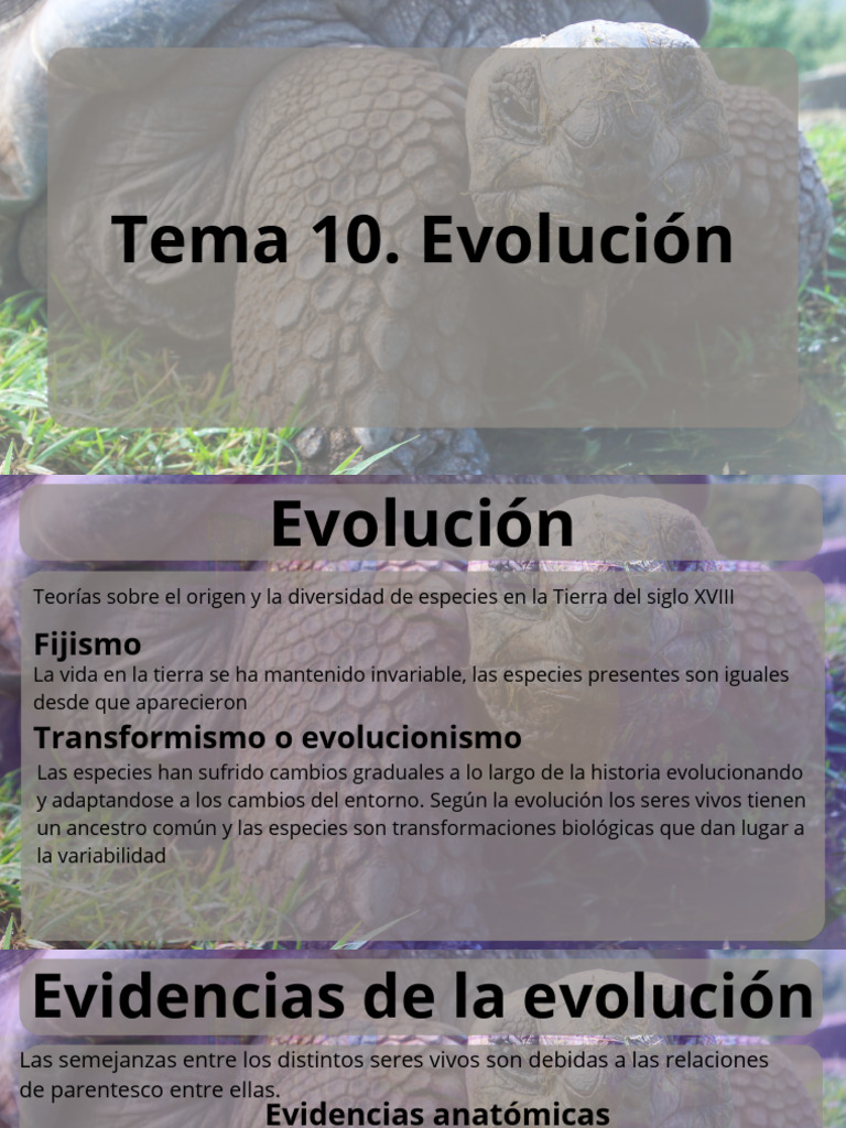 Tema 10. La Evolución. | PDF | Evolución | Seleccion natural