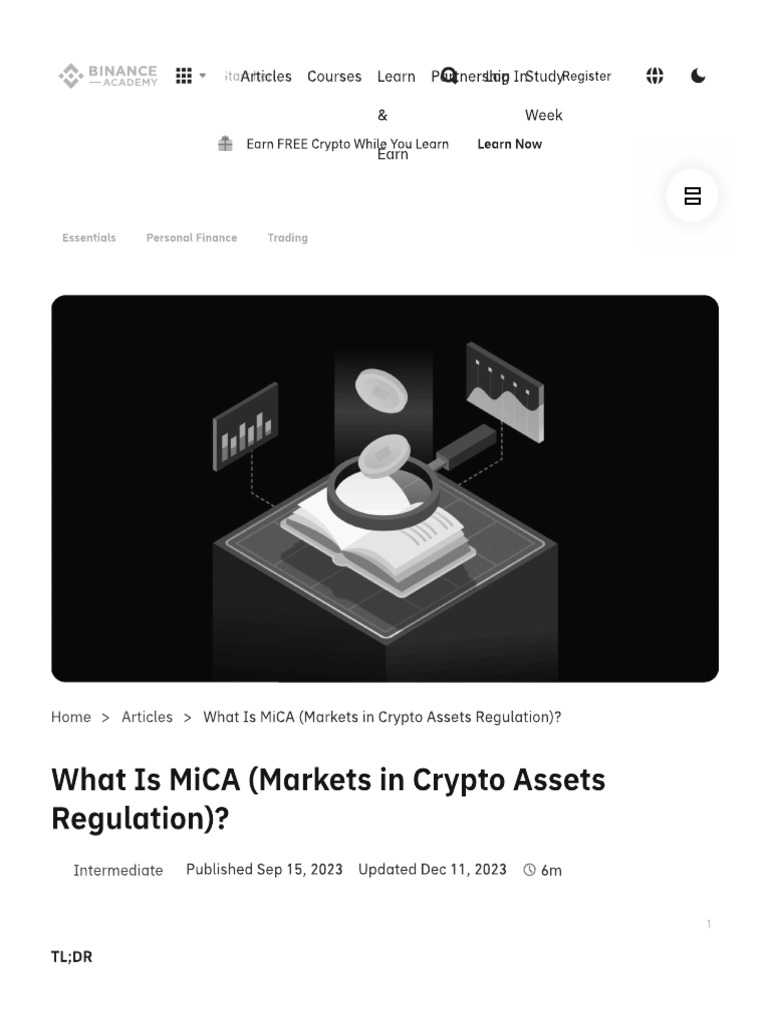 What Is MiCA (Markets in Crypto Assets Regulation | PDF