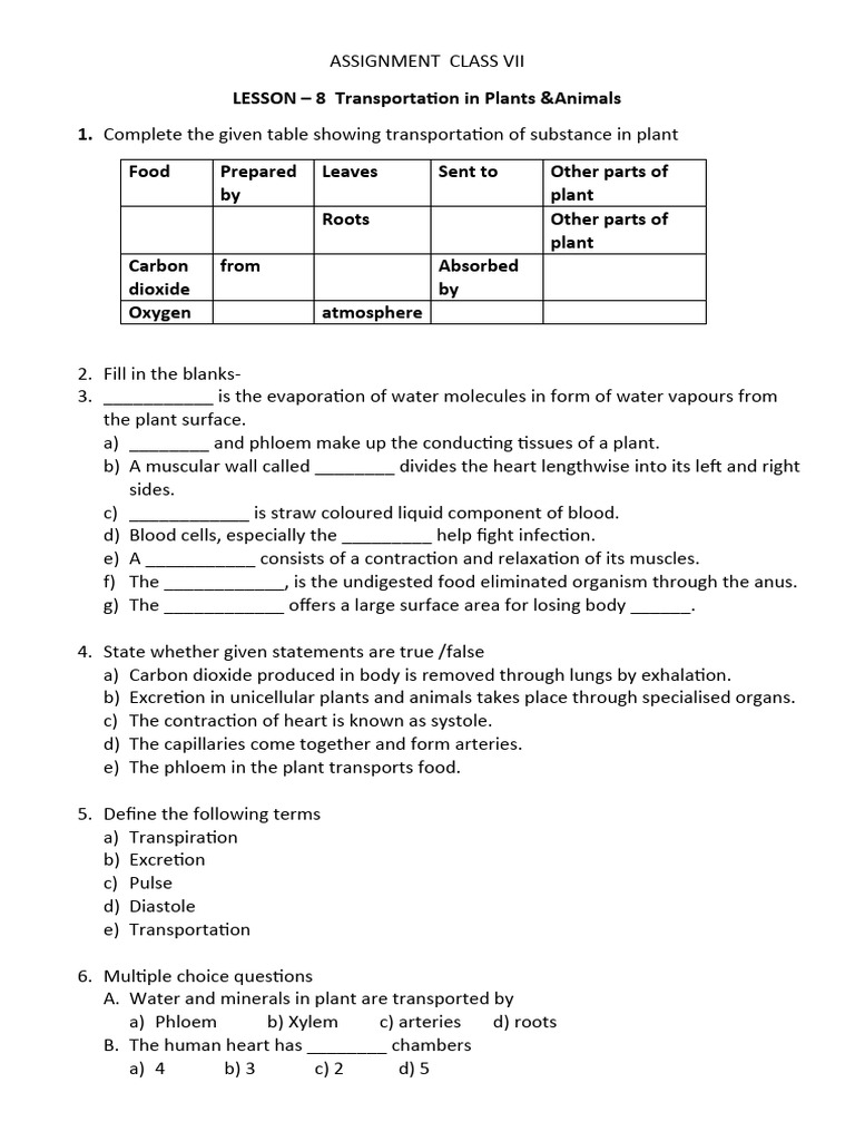 L - 8 Transportation Assignment Class Vii | PDF | Blood | Blood Vessel