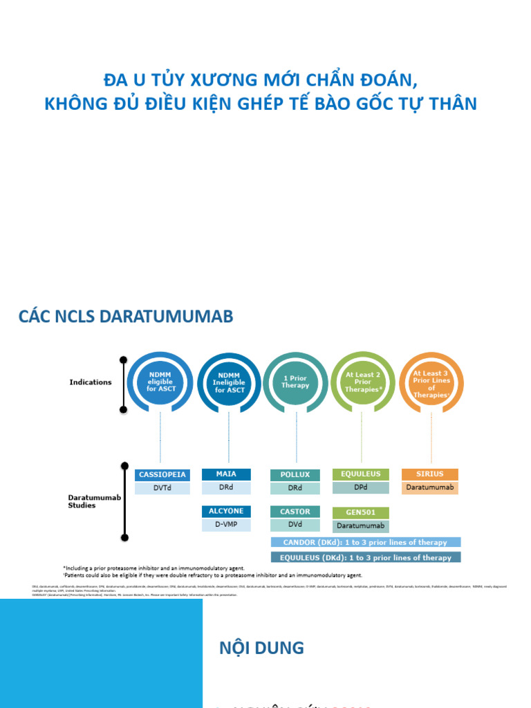 1.TIE NDMM - Non Transplant Internal Training Aug 2023 | PDF