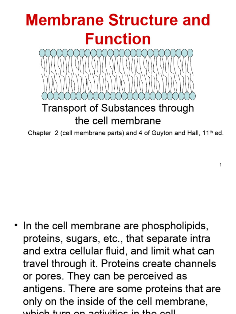 Cell Membranes Proteins and Transporters | PDF | Cell Membrane | Ion ...