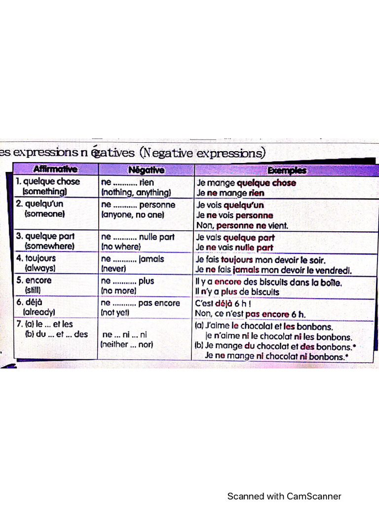 Les Expressions Négatives | PDF