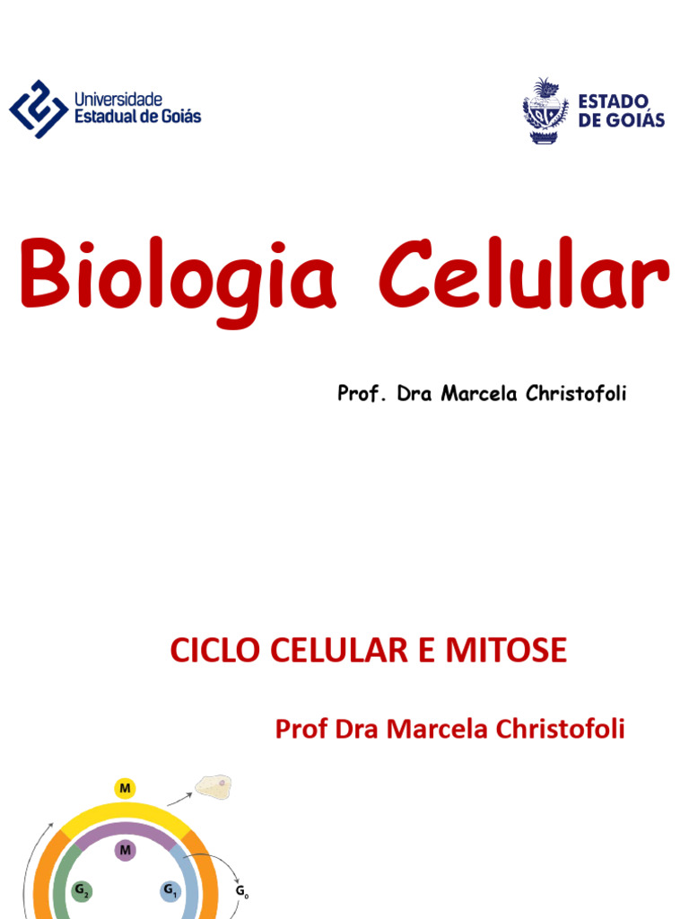Aula 5 - Ciclo Celular e Mitose | PDF | Mitose | Meiose