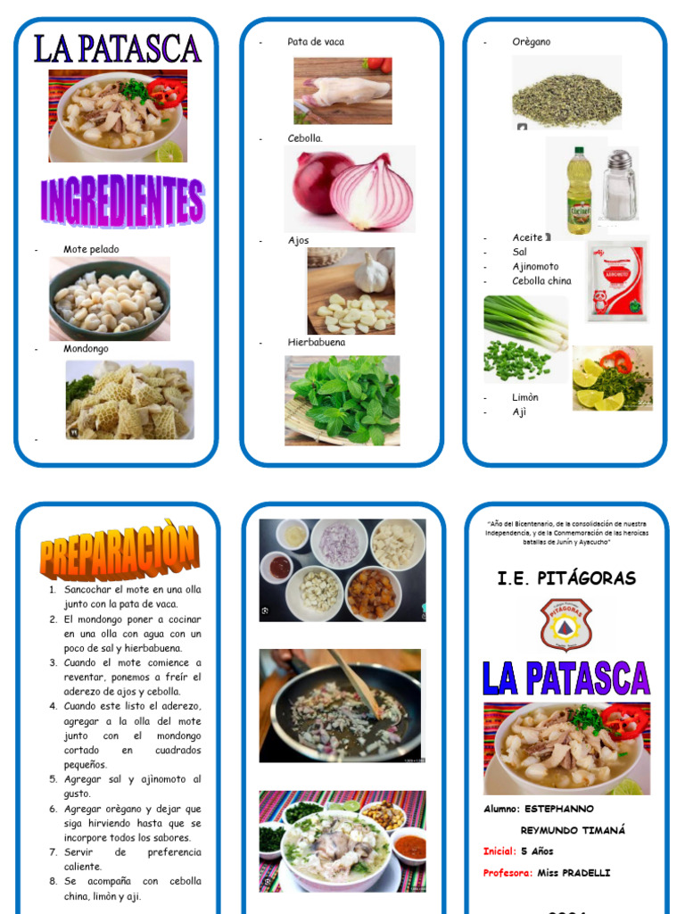 Triptico Patasca | PDF