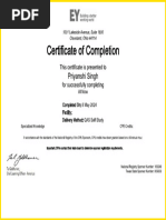 Ey Trusted Verification | PDF | Employment | Economies