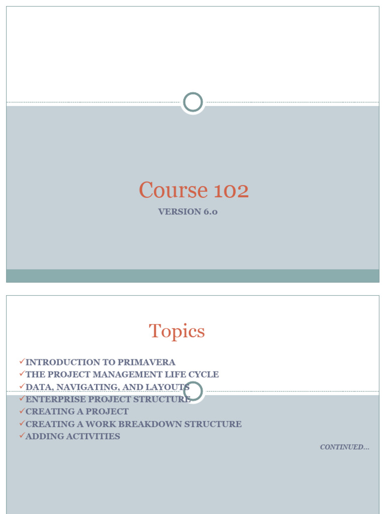P6 Basics | PDF | Project Management | Window (Computing)