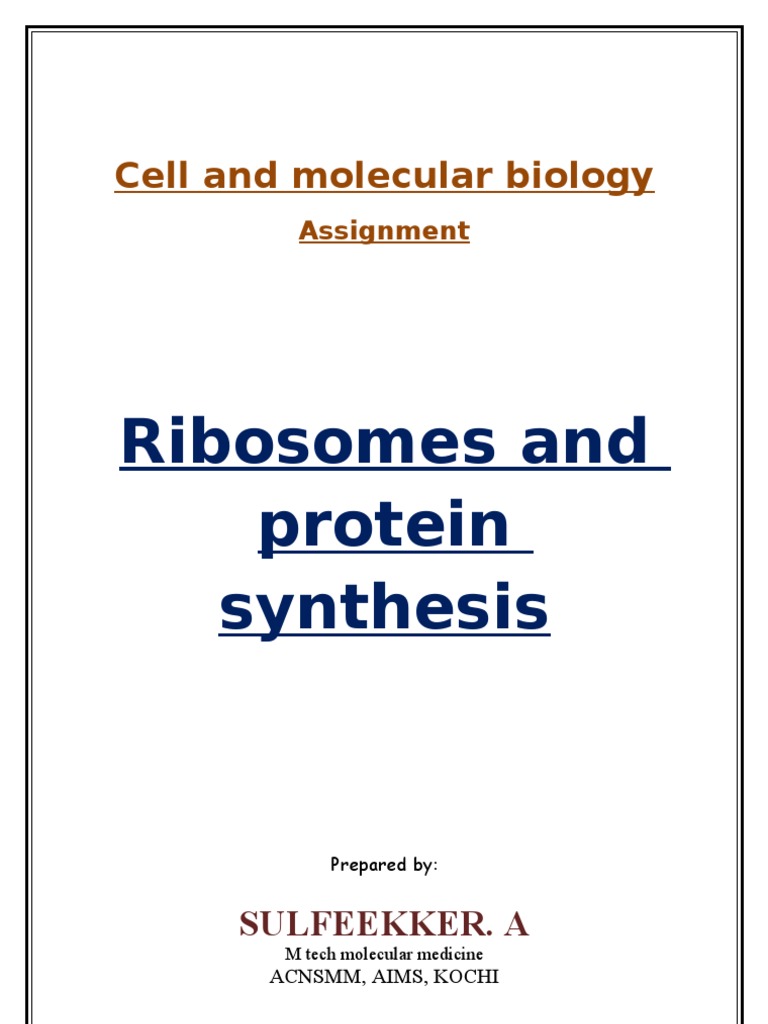 Ribosomes and Protein Synthesis | PDF | Translation (Biology) | Ribosome