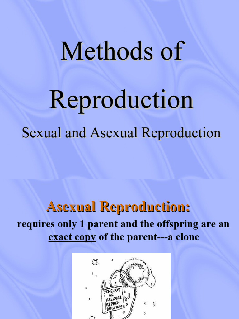 Lesson 3 Methods-Of-Reproduction | PDF | Sexual Reproduction | Reproduction
