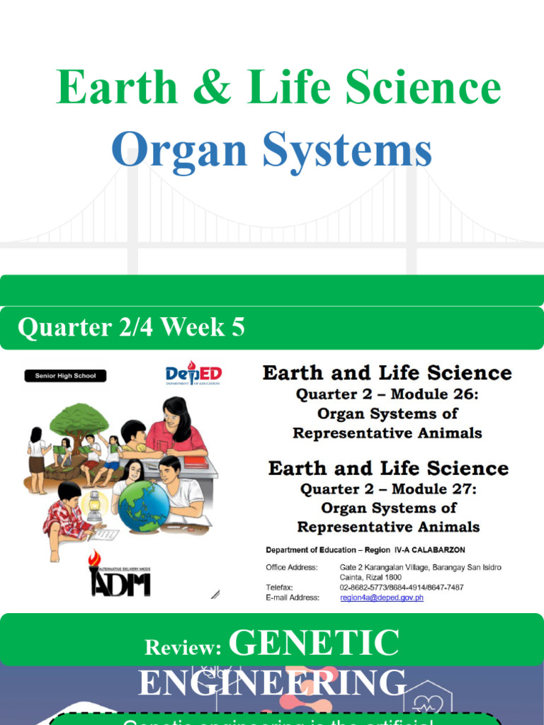 Lesson 5 Organ System | PDF | Nervous System | Human Body