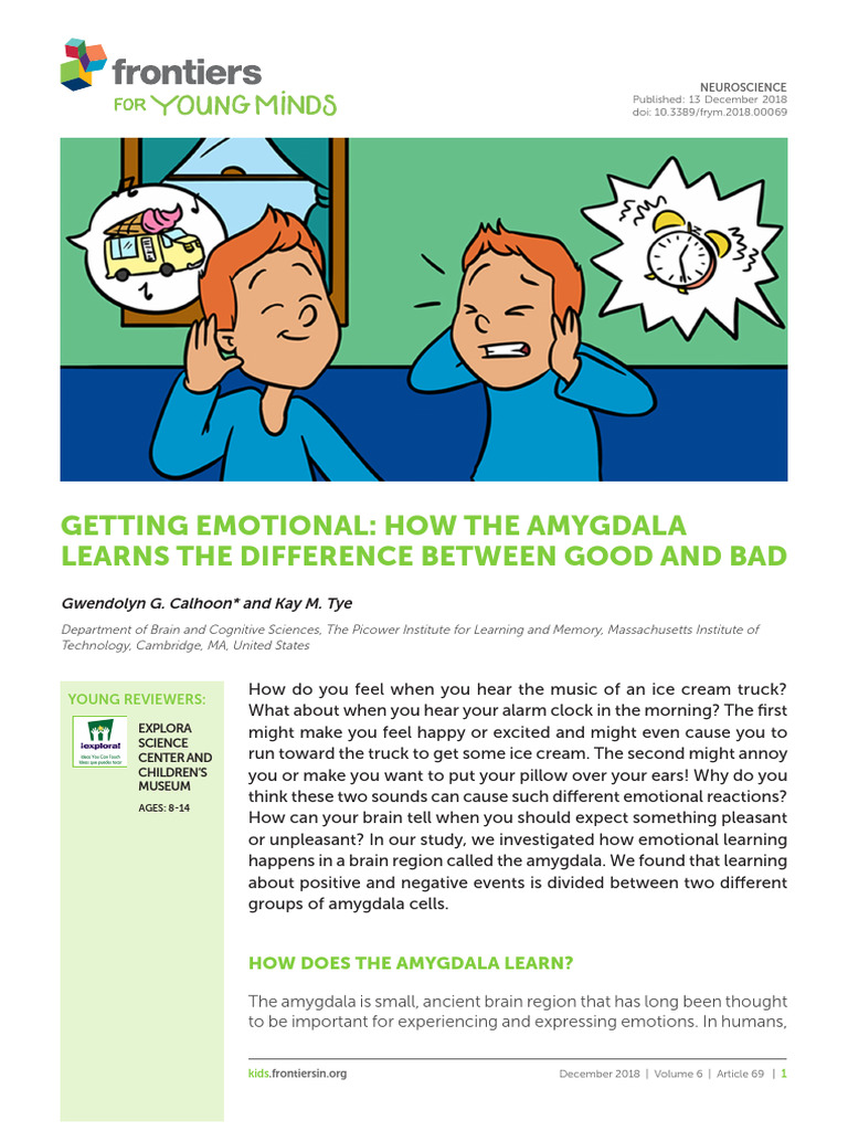 Getting Emotional How the Amygdala Learns the Diff | PDF | Amygdala ...