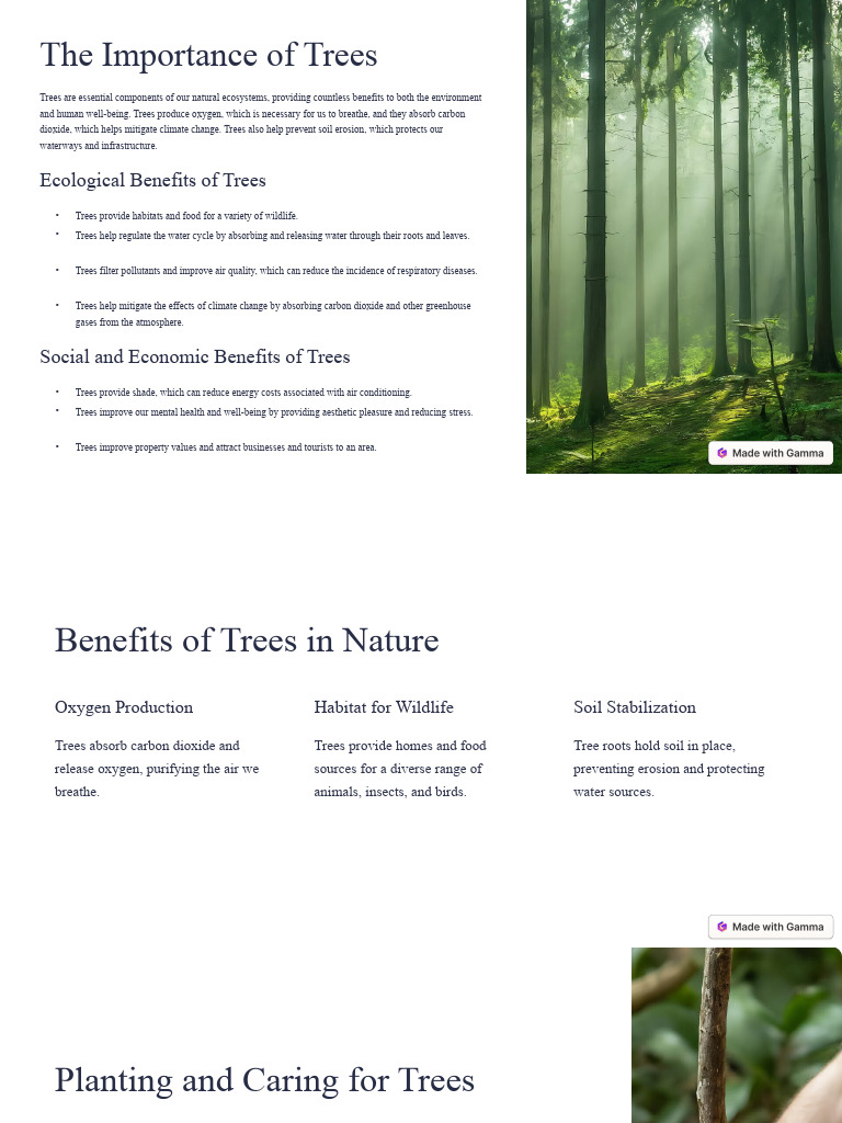 Benefits of Trees for Environment & Health | PDF | Home & Garden