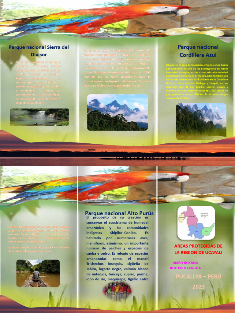 Triptico Areas Naturales Protegidas de Ucayali | PDF | Ciencias de la Tierra