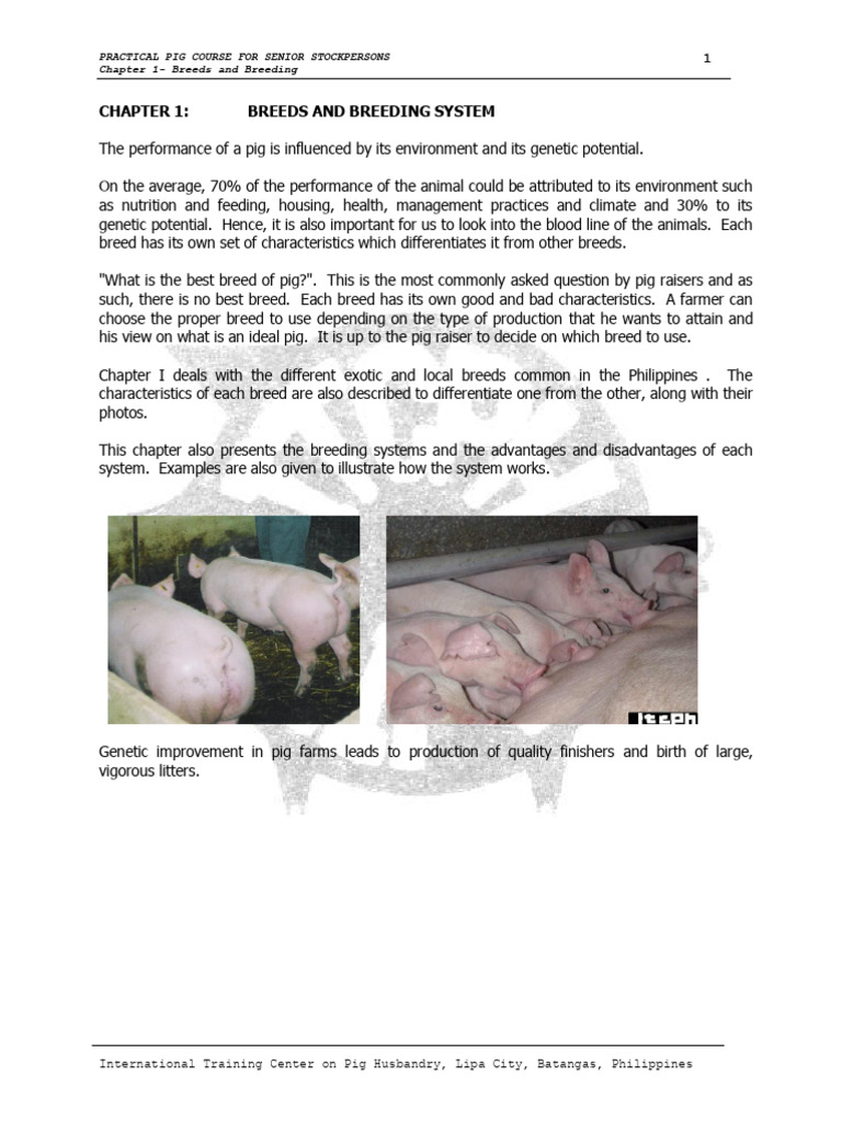 breeding manual | PDF | Pig | Inbreeding