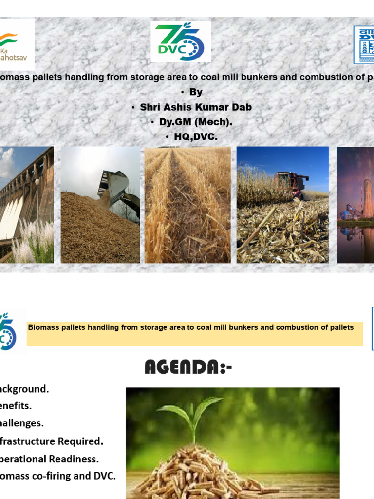Biomass Handling for Coal Mill Bunkers | PDF