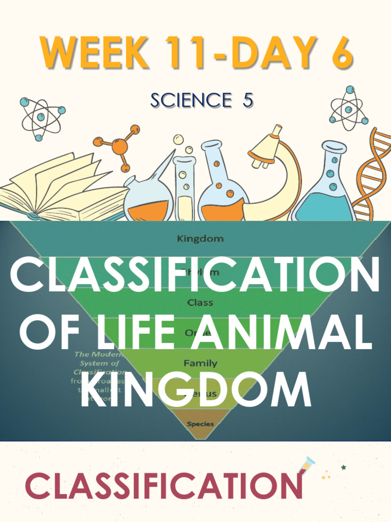 Animal Kingdom Classification Overview | PDF | Science & Mathematics