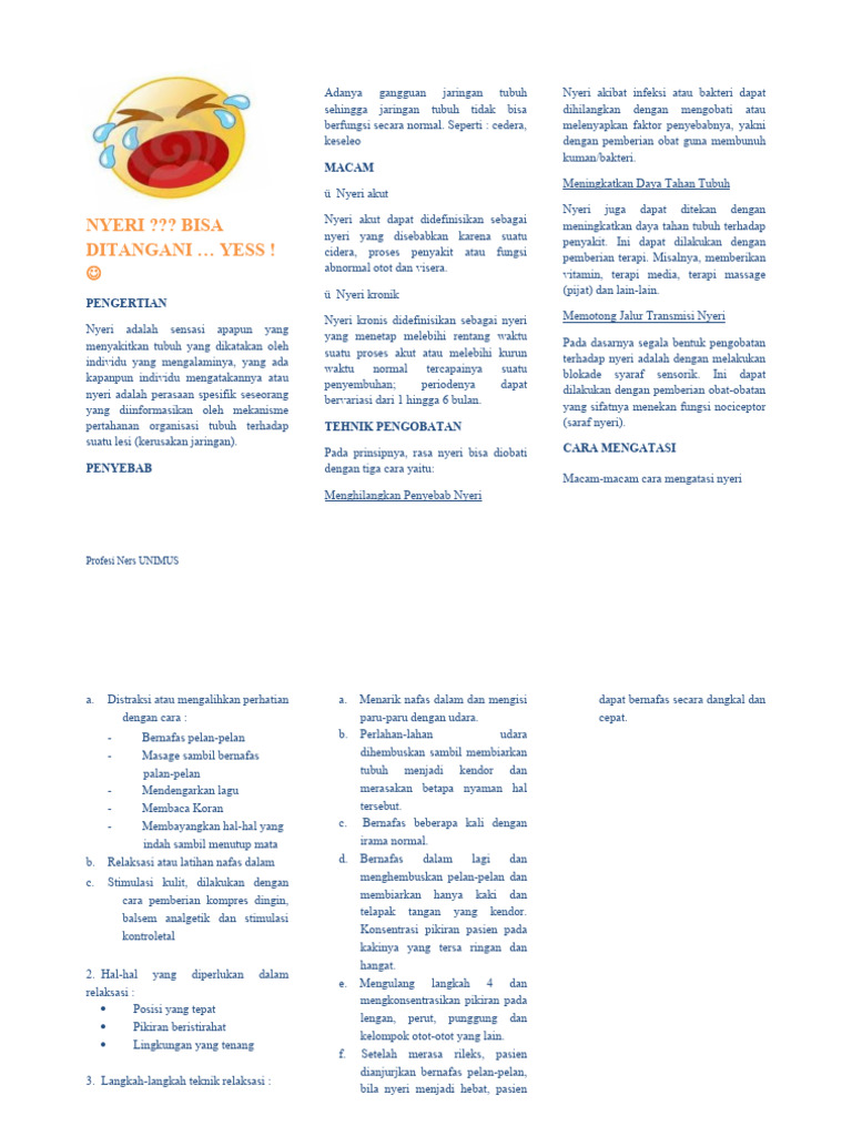 #Leaflet Nyeri | PDF