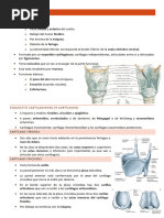 FARINGE y LARINGE - Anatomía II, Veterinaria | PDF | Laringe ...