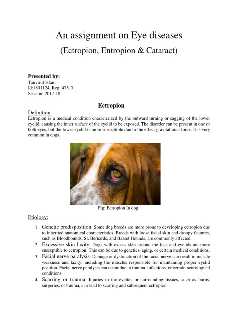 An Assignment On Eye Diseases | PDF | Cataract | Surgery