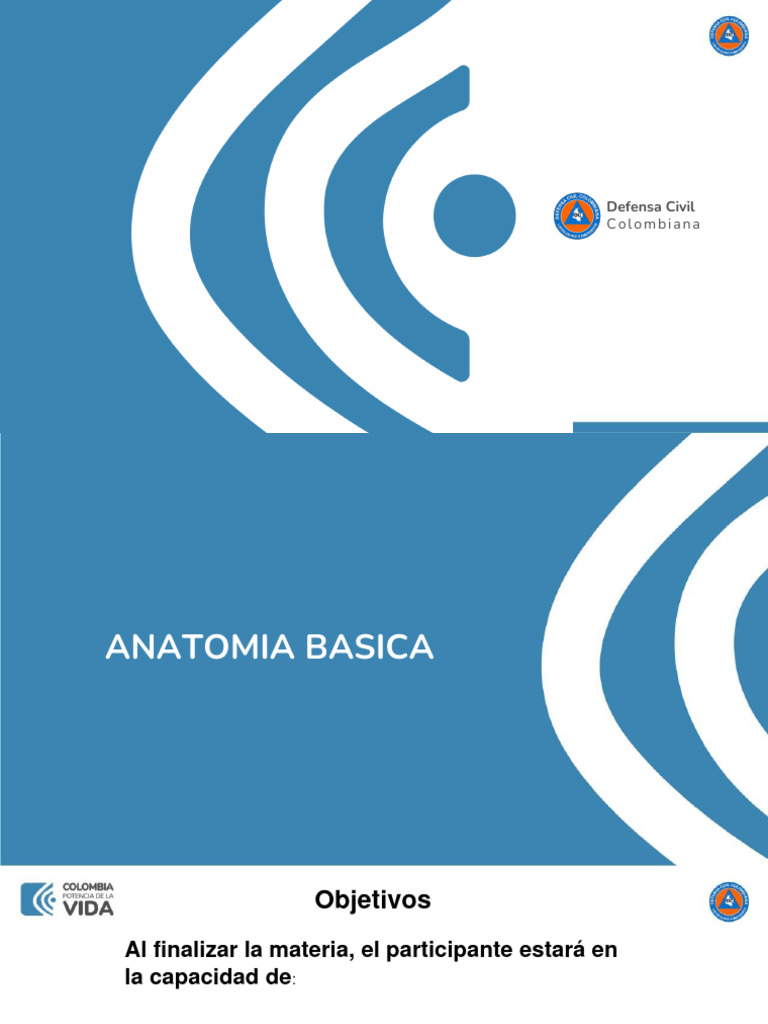 2 Anatomia Basica Pdf Términos Anatómicos De Ubicación Anatomía