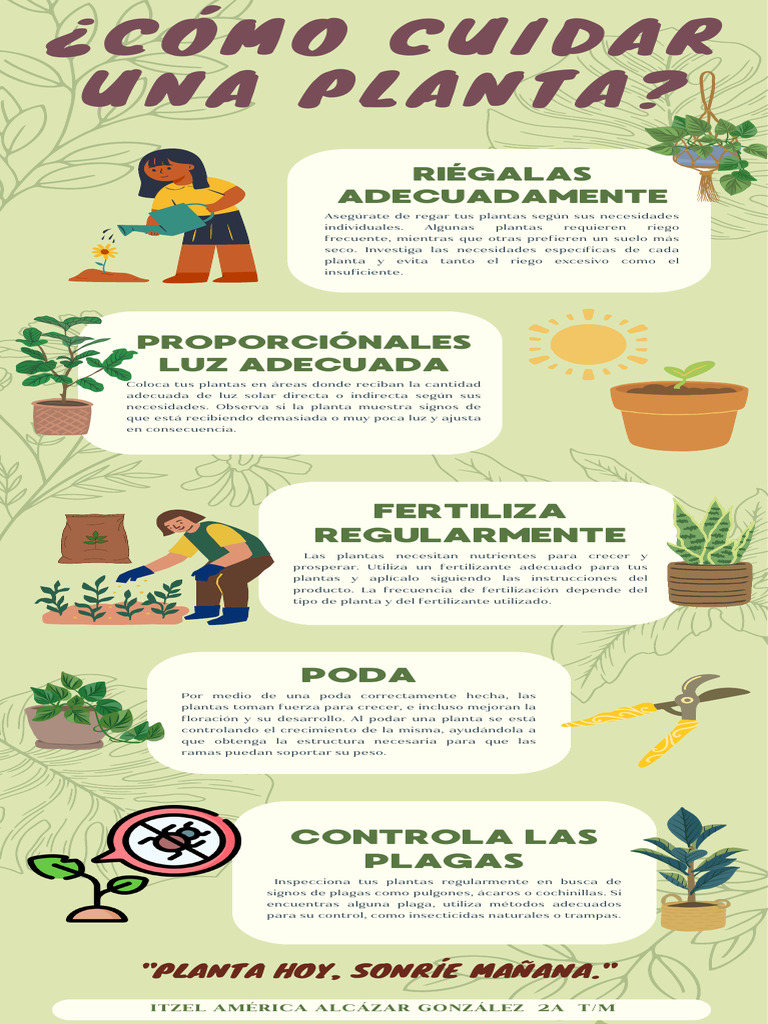 Infografía consejos para cuidar a tus plantas ilustrado verde | PDF