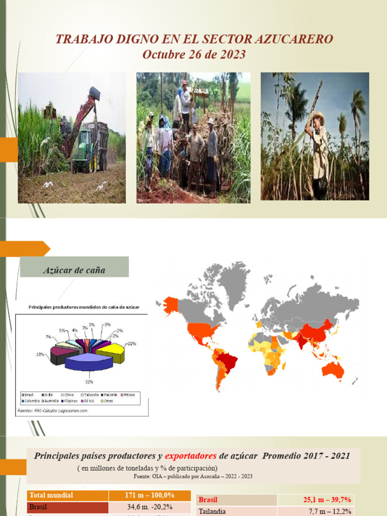 Trabajo Digno en El Sector Azucarero (Autoguardado) | PDF | Caña de ...