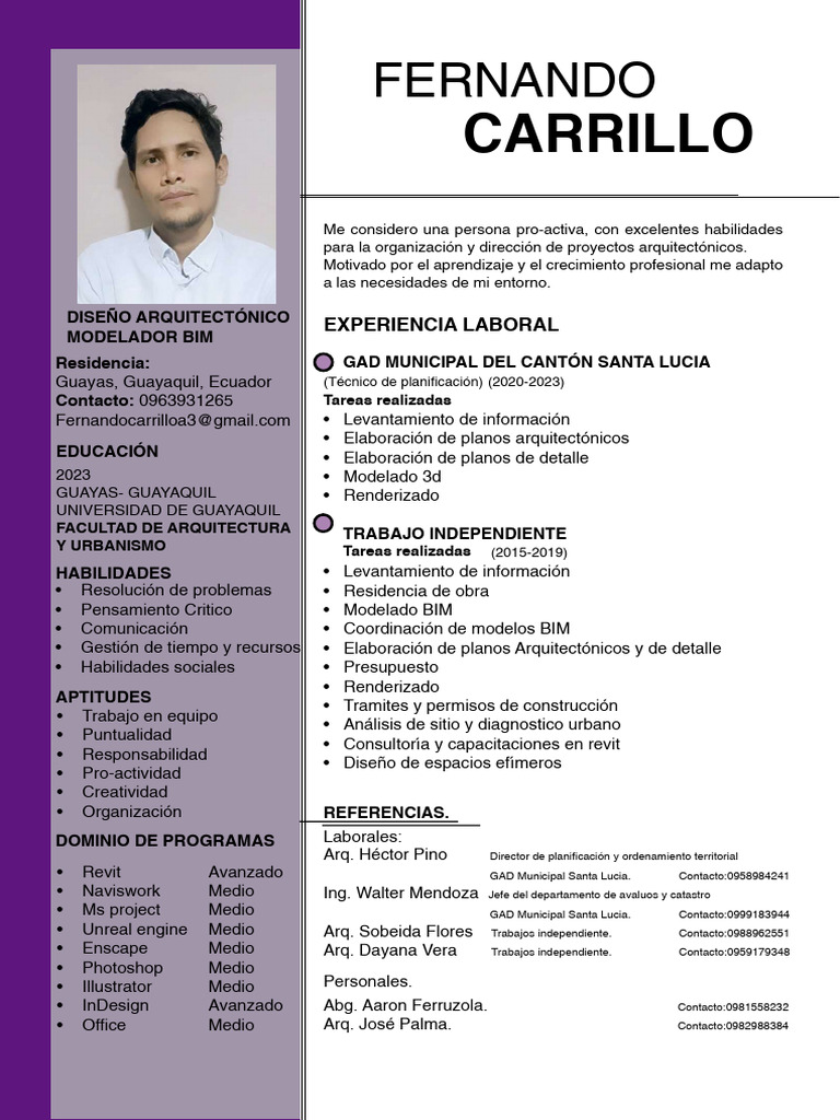 Fernando Carrillo curriculum 2024 | PDF