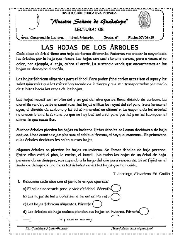 Comprension Lectora El Arbol | PDF