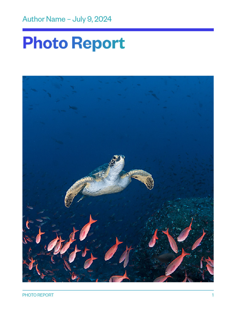 Photo Report Template Guide | PDF | Business | Art