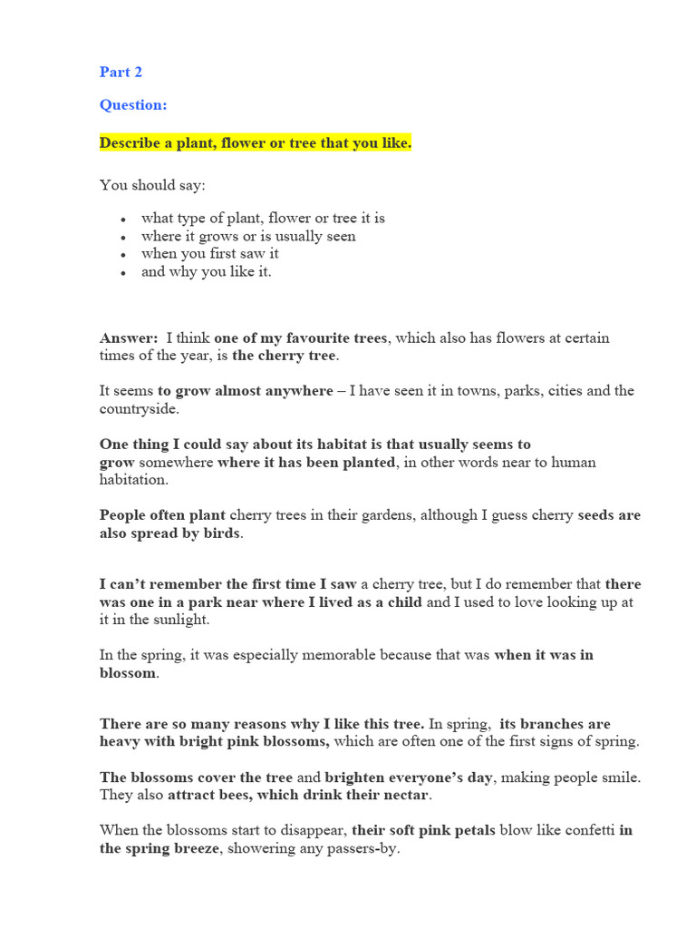 Cherry Tree Appreciation | PDF | Online Shopping | Trees