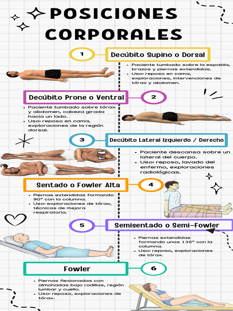Posicion Es | PDF | Términos anatómicos de ubicación | Abdomen