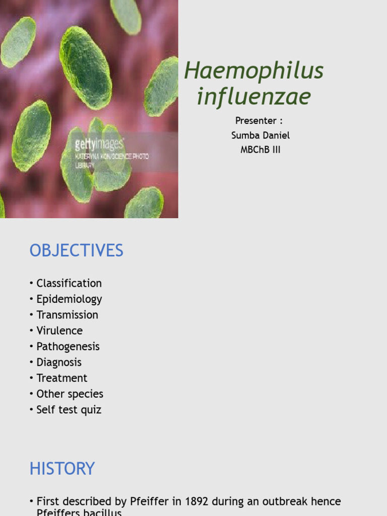 Haemophilus Influenzae | PDF | Influenza | Microbiology
