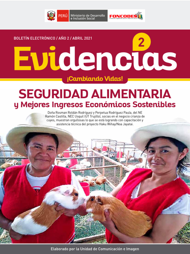 Boletin Evidencias 2-2021 | PDF | Perú | Riego