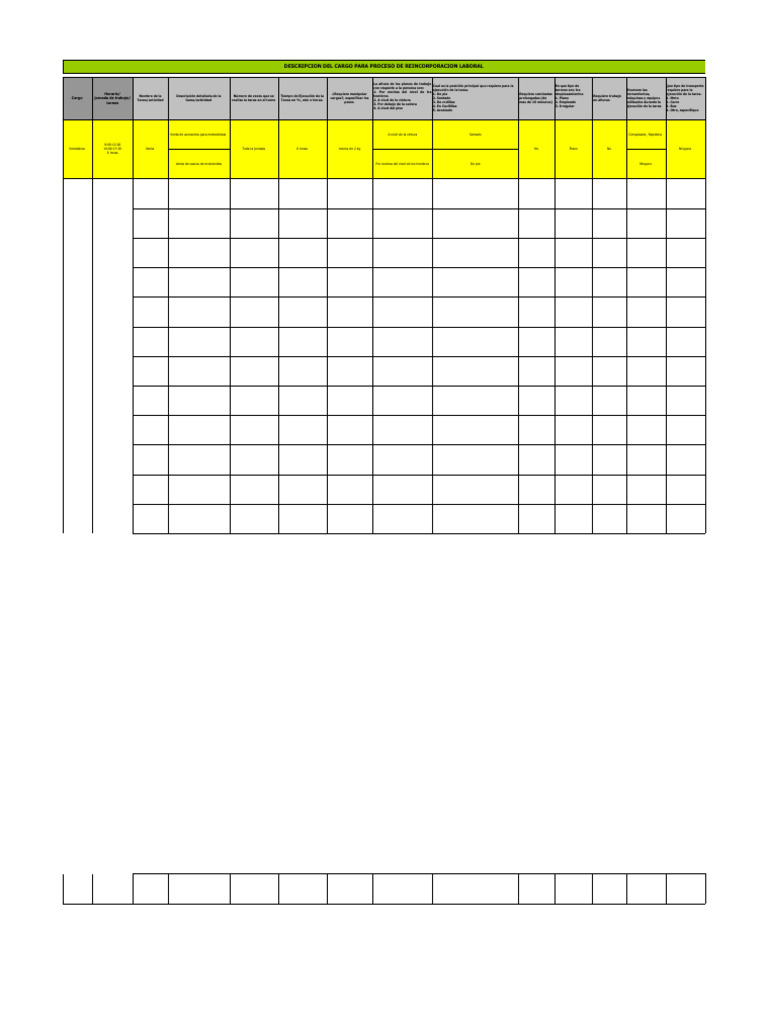 Form 4. Descripcion Del Cargo | PDF