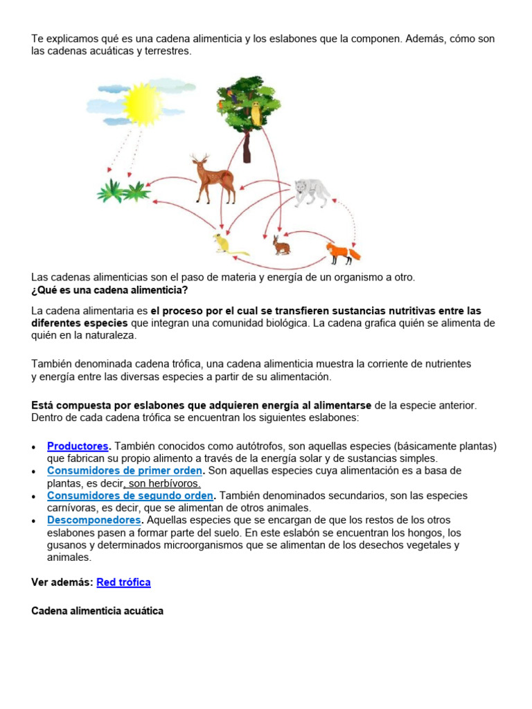 Te explicamos qué es una cadena alimenticia y los eslabones que la ...