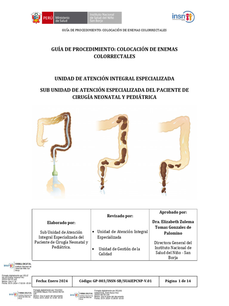 Procedimiento de Enemas Colorrectales | PDF | Medicina CLINICA ...