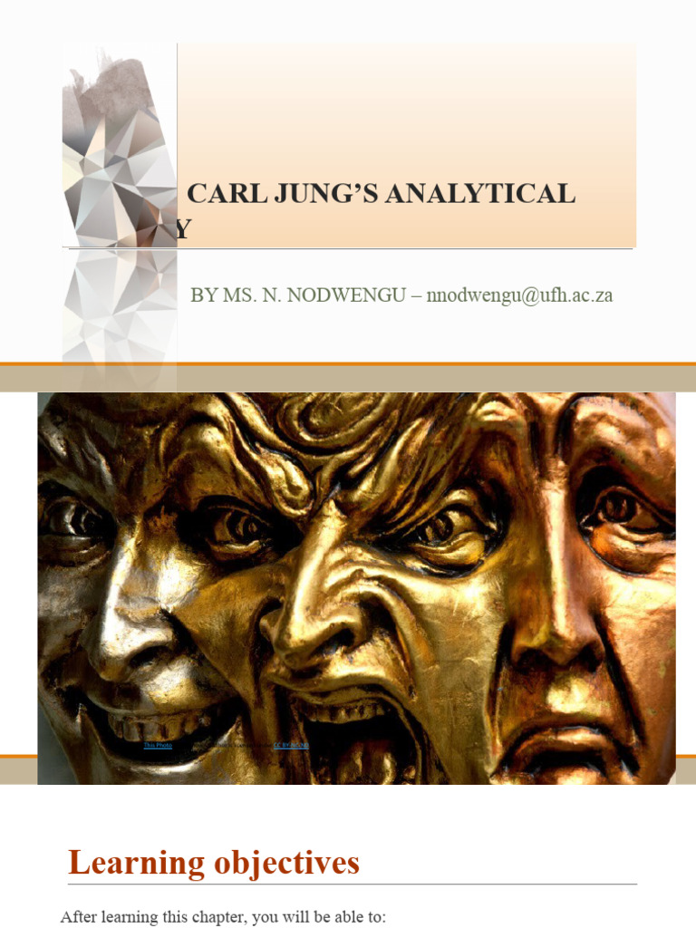 Carl Jung's Analytical Theory | Download Free PDF | Carl Jung | Experience