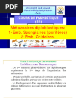 3-Cours Spongiaires | PDF | Éponge | Anatomie