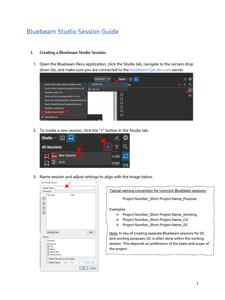 Bluebeam Studio Session Setup Guide | PDF | Computer File | Request For ...
