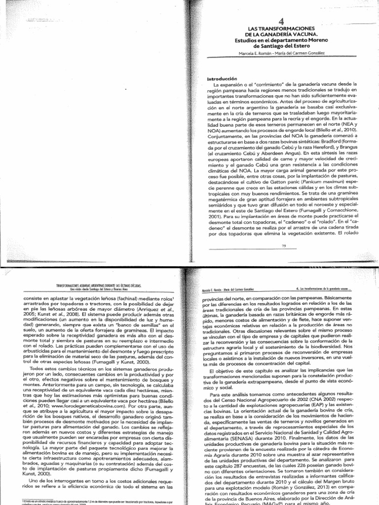 U4b Roman Gonzalez 2017 | PDF