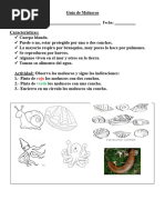 Subrox L Inserto WEB | PDF | Medicamentos con receta | Alergia